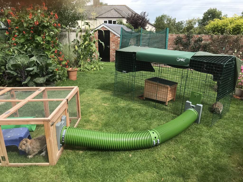 Zippi Rabbit Run with Roof and Skirt - Double Height | Zippi Rabbit Run ...