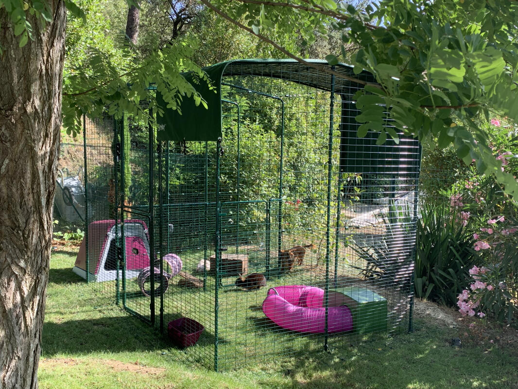 Outdoor Rabbit Run | Large Outdoor Rabbit Enclosure