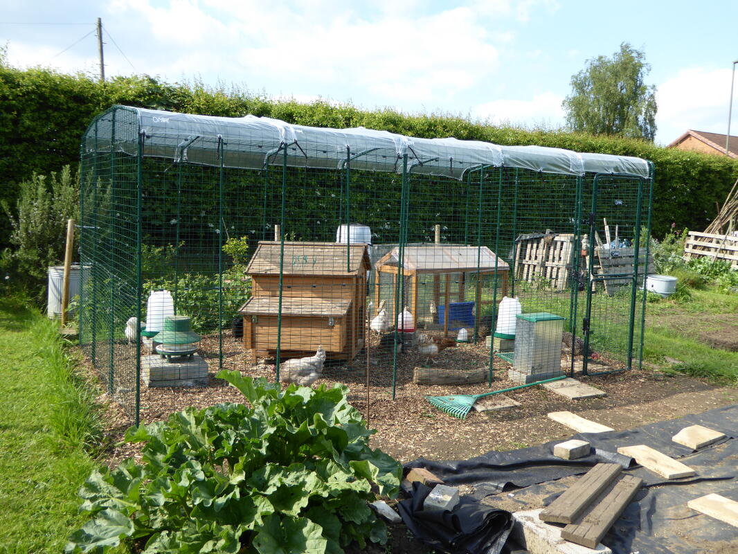 Walk In Chicken Run Extensions | Chicken Coops, Walk in Chicken Runs ...