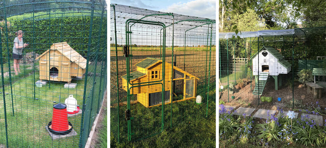 Large Walk in Chicken Runs | Omlet