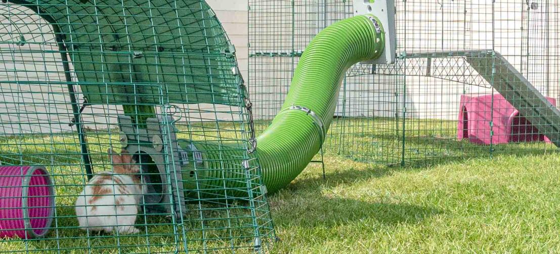 Zippi Rabbit Tunnel System | Omlet