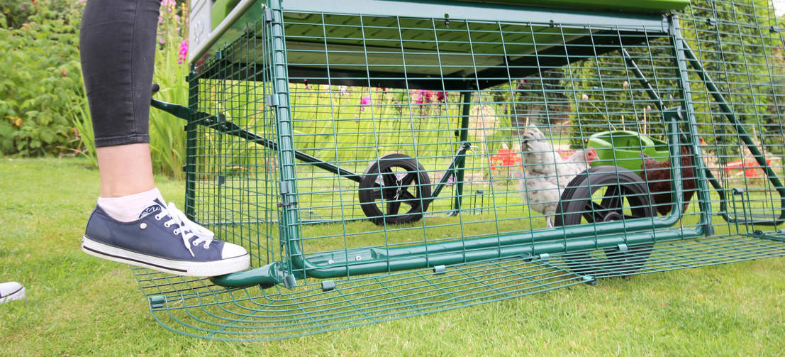 Large Eglu Cube Chicken Coop with Runs | Omlet