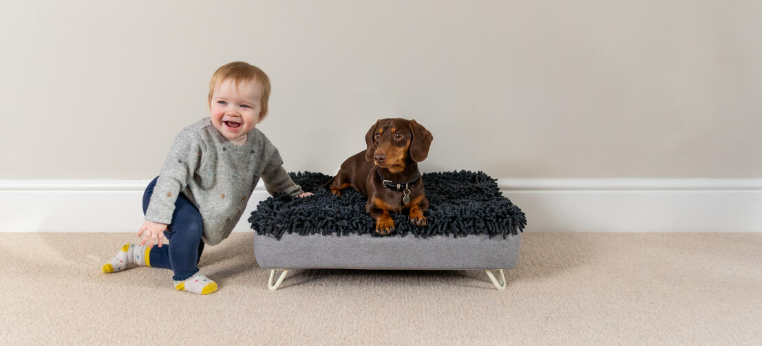 Topology | Luxury Dog Beds With Toppers | By Omlet | Omlet