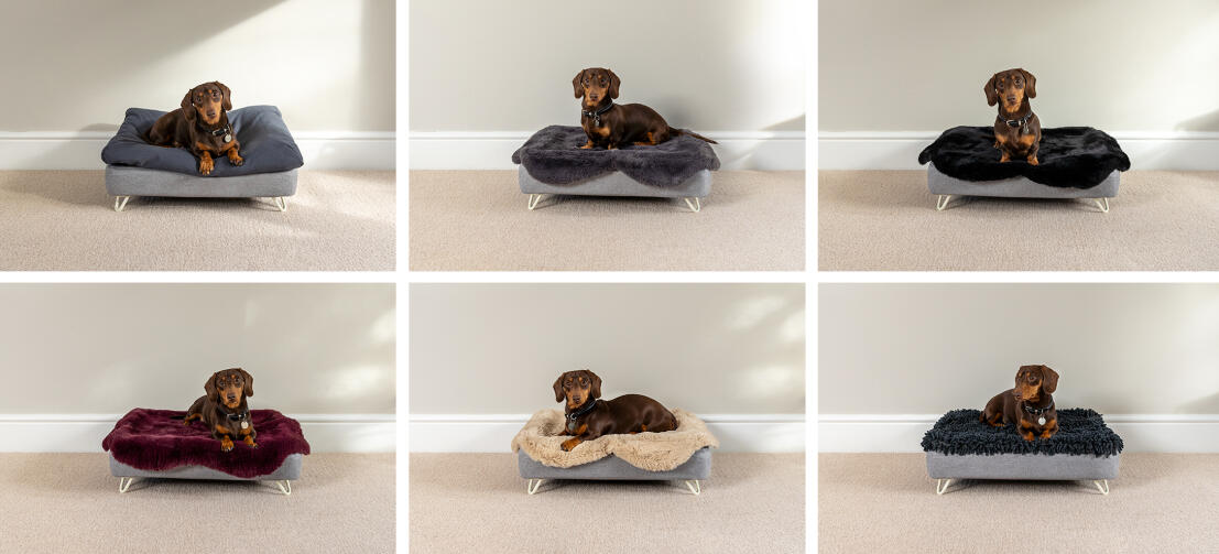 Topology | Luxury Dog Beds With Toppers | By Omlet | Omlet