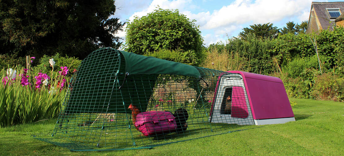 Eglu Go Chicken Coop | Plastic Chicken House for 2-4 Birds | Omlet