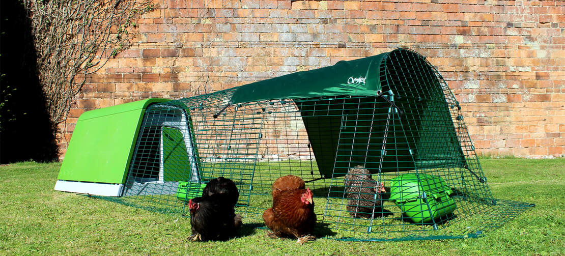 Eglu Go Chicken Coop | Plastic Chicken House for 2-4 Birds | Omlet