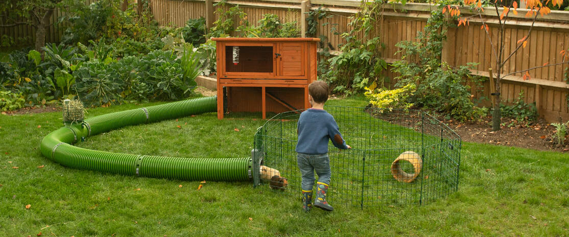 Zippi Guinea Pig Tunnel System | Omlet