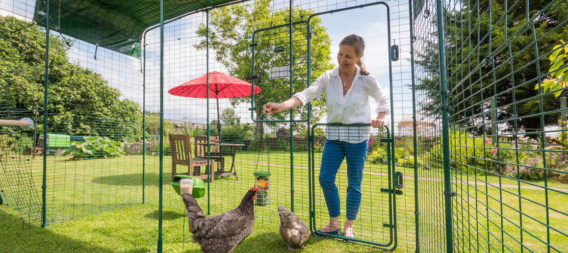 Walk in Chicken Runs | Large Chicken Pen | Omlet
