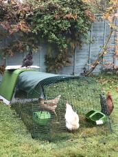 Eglu Go Chicken Coop | Plastic Chicken House for 2-4 Birds | Omlet
