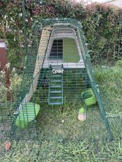 Eglu Go Up - 2m Run | Omlet