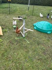 Freestanding Chicken Perch | Omlet