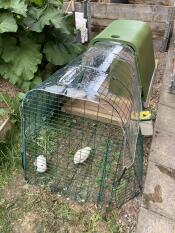 Eglu Go Chicken Coop | Plastic Chicken House for 2-4 Birds | Omlet