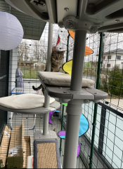 Freestyle Outdoor Cat Tree - Customisable Cat Climbing Frame | Omlet