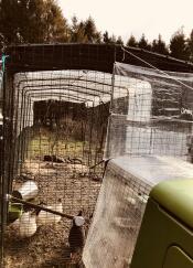 Heavy Duty Cover with Gutter Edge for Walk in Run – 3m | Omlet