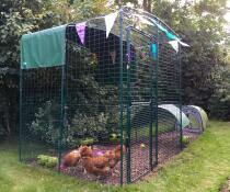 Heavy Duty Cover with Gutter Edge for Walk in Run – 3m | Omlet