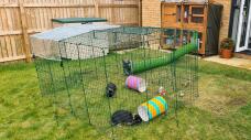 Zippi Rabbit Tunnel System | Omlet
