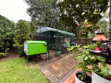 Walk in Chicken Runs | Large Chicken Pen | Omlet