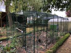 Walk in Chicken Runs | Large Chicken Pen | Omlet