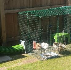 Zippi Rabbit Run with Roof and Underfloor Mesh - Double Height | Omlet
