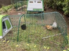 Eglu Go Chicken Coop | Plastic Chicken House for 2-4 Birds | Omlet