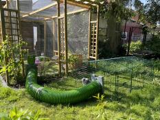 Zippi Rabbit Runs and Playpens | Omlet