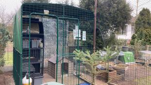 Heavy Duty Cover with Gutter Edge for Walk in Run – 3m | Omlet