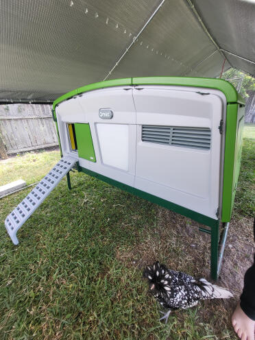 Gallery | Club | Omlet