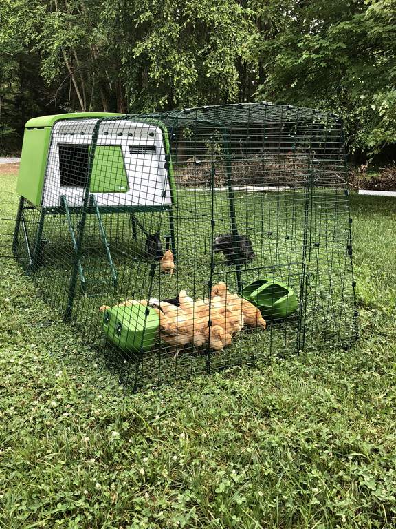 Eglu Cube Mk2 - 1m Run Extension | Chicken Runs & Chicken Netting