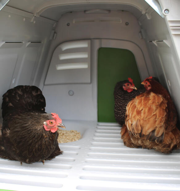 Eglu Go Chicken Coop | Plastic Chicken House for 2-4 Birds | Omlet