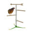 Freestanding Chicken Perch - Poultry Playground Kit | Omlet