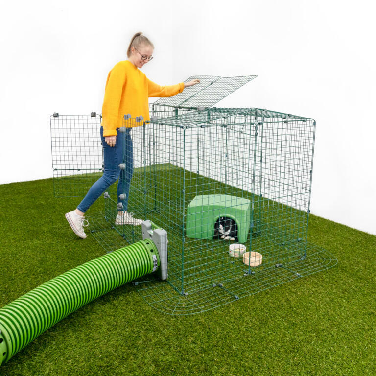 Zippi Rabbit Shelter - Green | Omlet