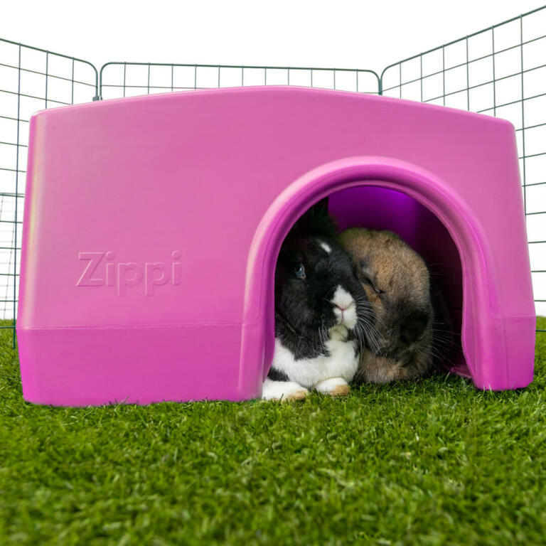 Zippi Rabbit Shelter - Green | Omlet