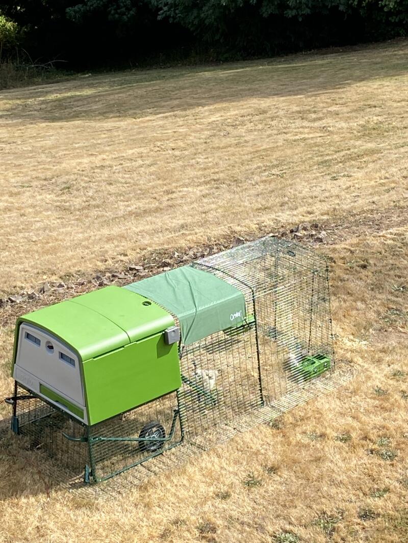 Large Eglu Cube Chicken Coops and Runs | Easy to Clean Safe Hen House ...
