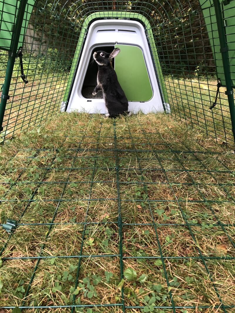 Eglu Go Rabbit Hutch | Plastic House and Run for Rabbits | Rabbit ...