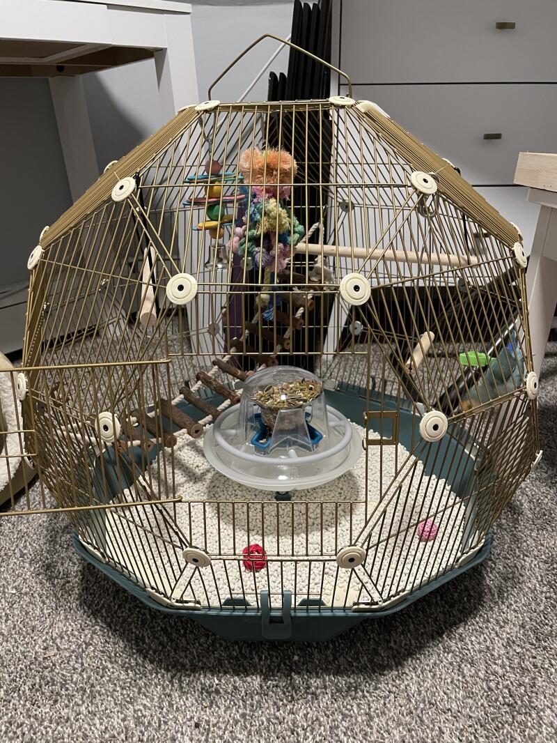 Verified Reviews for Geo Bird Bath | Omlet