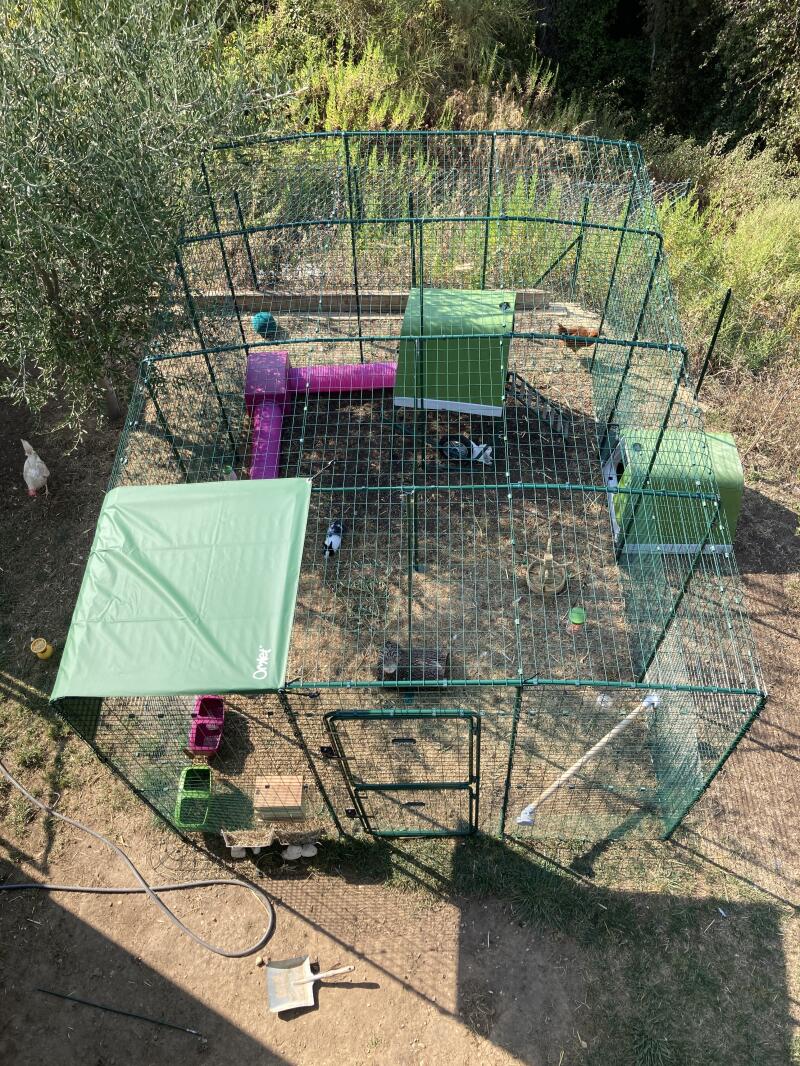 Outdoor Rabbit Run | Large Outdoor Rabbit Enclosure | Omlet