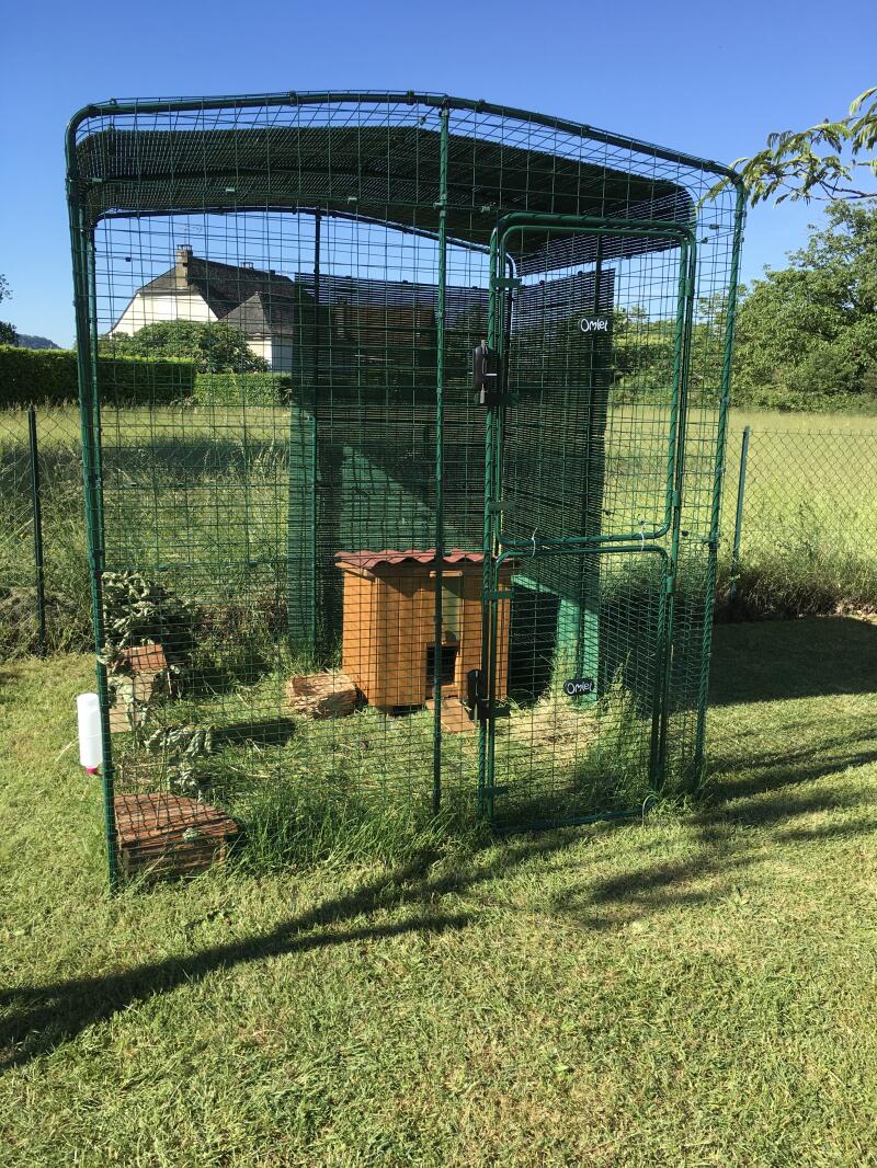 Outdoor Rabbit Run | Large Outdoor Rabbit Enclosure | Omlet