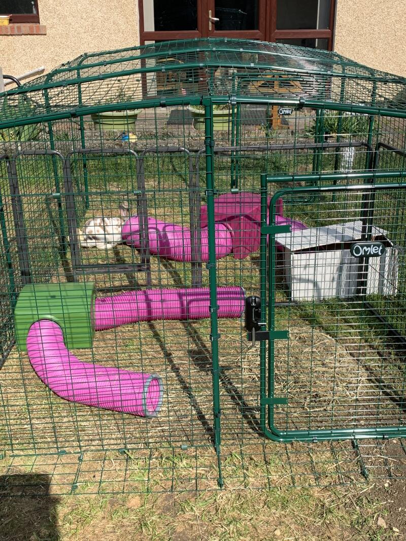 Outdoor Rabbit Run | Large Outdoor Rabbit Enclosure | Omlet