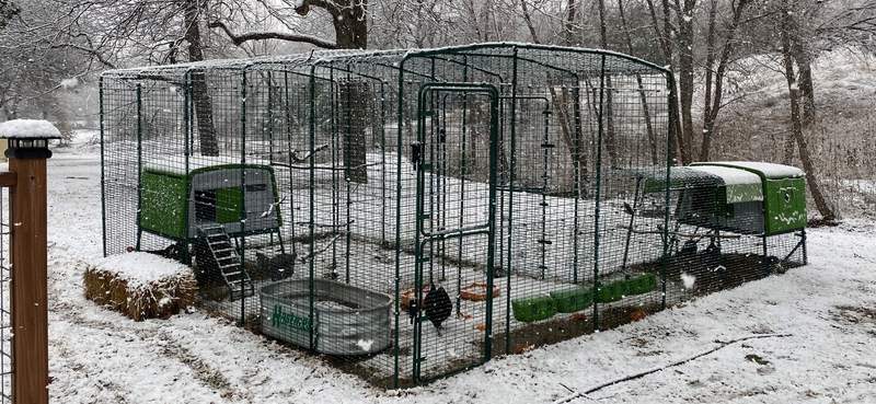 Walk in Chicken Runs | Large Chicken Pen | Omlet | Chicken Coops ...