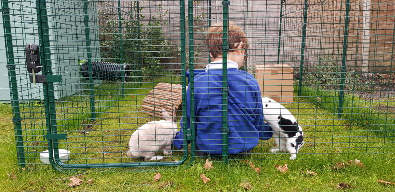 Outdoor Rabbit Run | Large Outdoor Rabbit Enclosure | Omlet
