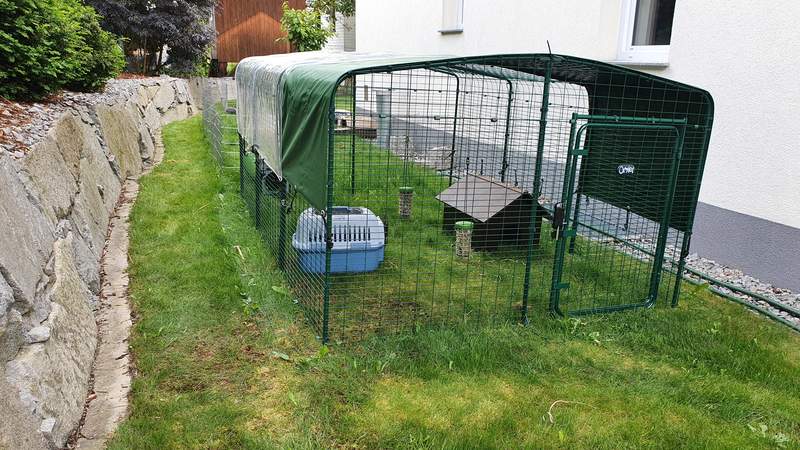 Outdoor Rabbit Run | Large Outdoor Rabbit Enclosure | Omlet