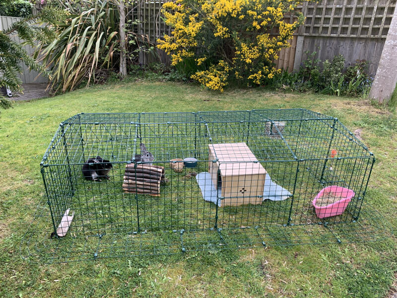 Verified Reviews for Extension for Zippi Rabbit Run with Roof and Skirt ...