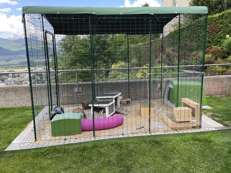 Outdoor Rabbit Run | Large Outdoor Rabbit Enclosure | Omlet