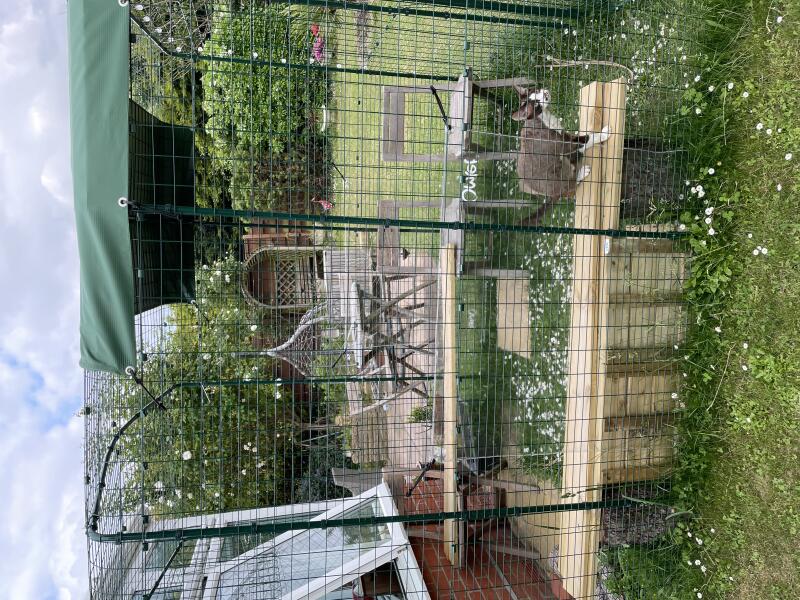 Verified Reviews for Heavy Duty Cover with Gutter Edge for Walk in Run ...