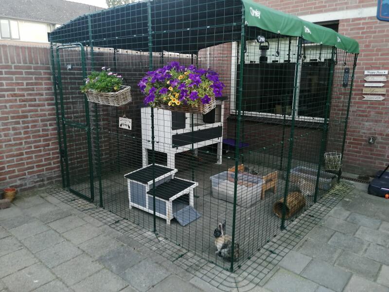 Outdoor Rabbit Run | Large Outdoor Rabbit Enclosure | Omlet