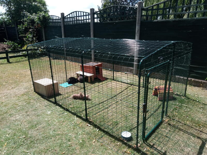 Outdoor Rabbit Run | Large Outdoor Rabbit Enclosure | Omlet