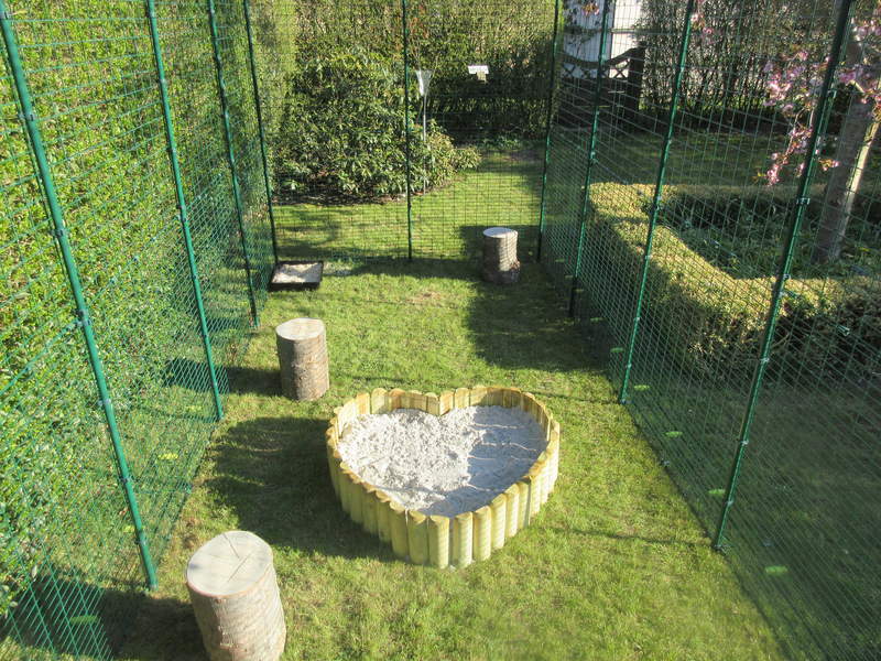 Outdoor Rabbit Run | Large Outdoor Rabbit Enclosure | Omlet