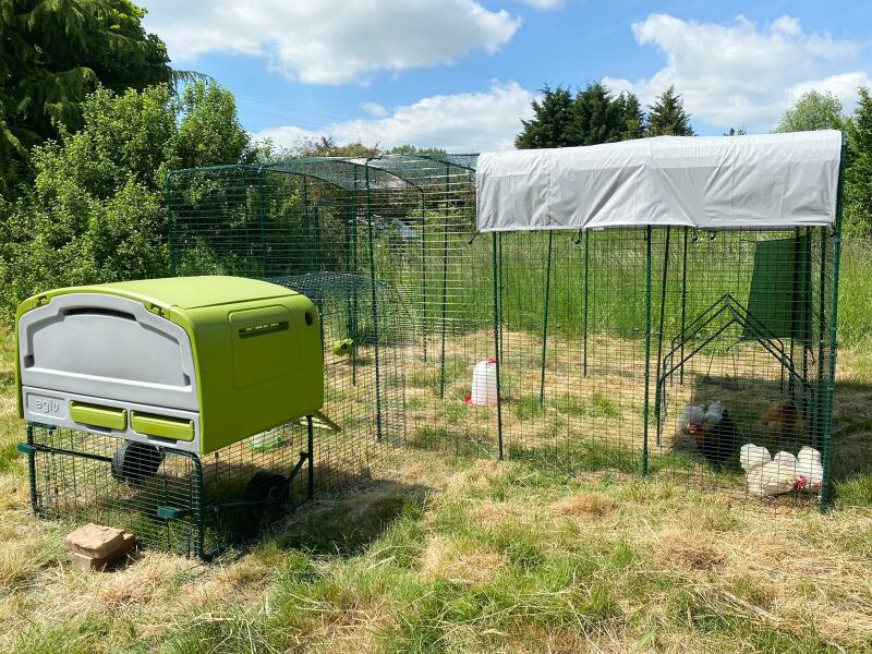 Walk in Chicken Runs | Large Chicken Pen | Omlet | Chicken Coops ...