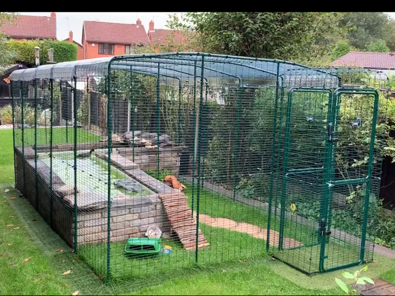 Omlet Walk in Chicken Run Porch | Omlet Walk In Chicken Run Porch