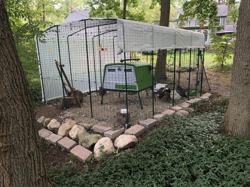 Reviews for Walk In Chicken Run | Omlet